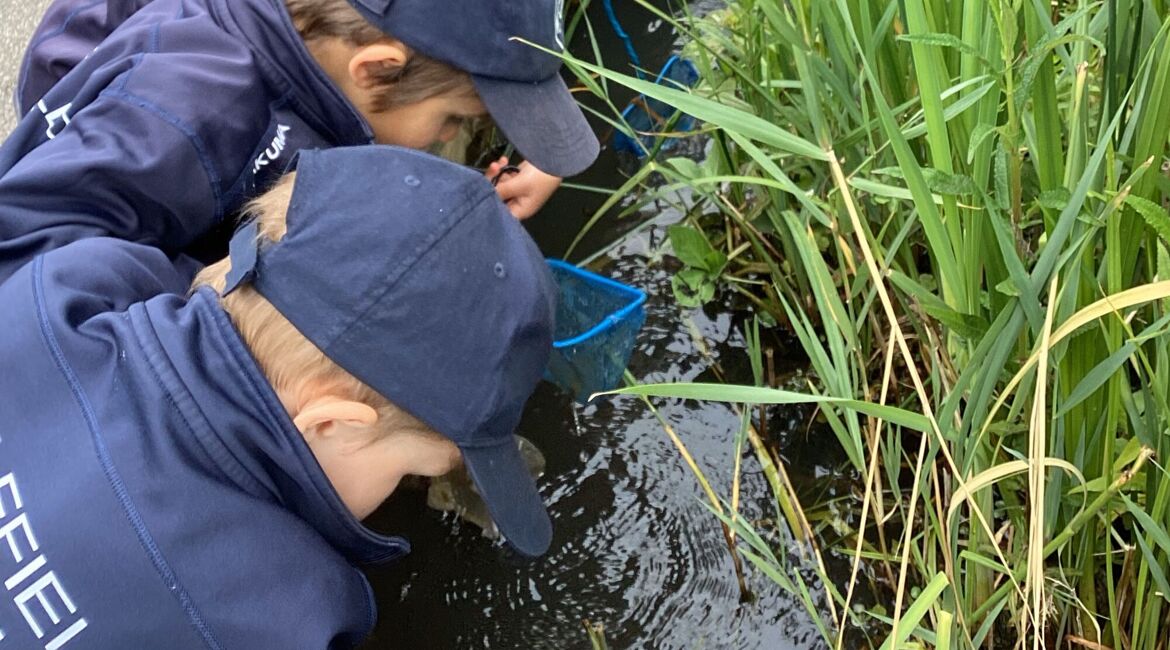 Receptions Adventure to the London Wetlands Centre - Latest News ...